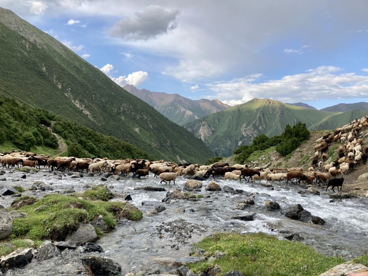 Wandern in Kirgistan – Abenteuer Ala-Kul-Trek ohne Guide