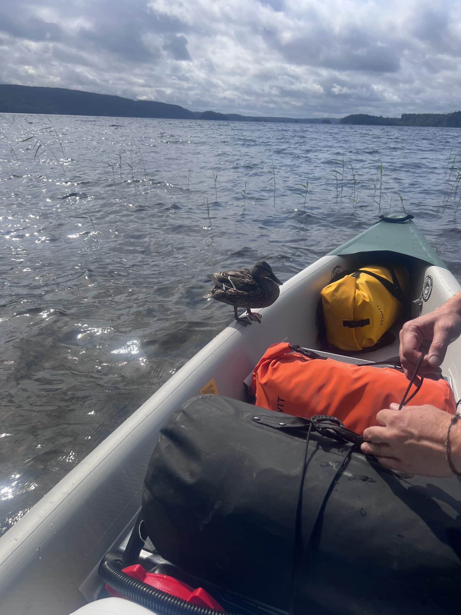 Kanutour Schweden: Unterwegs im schönen Dalsland