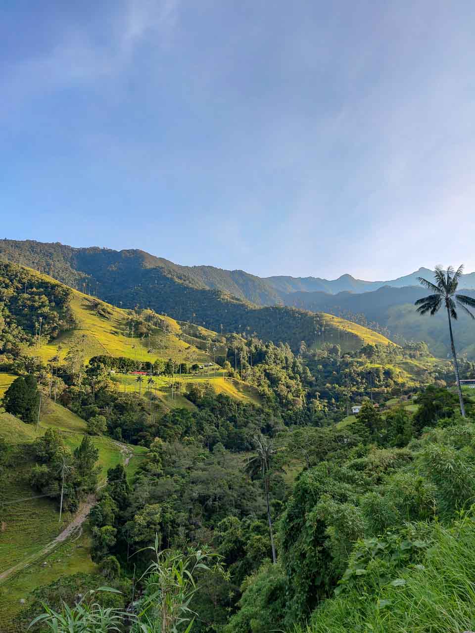 Valle de Cocora – Tipps und Infos für’s Wandern