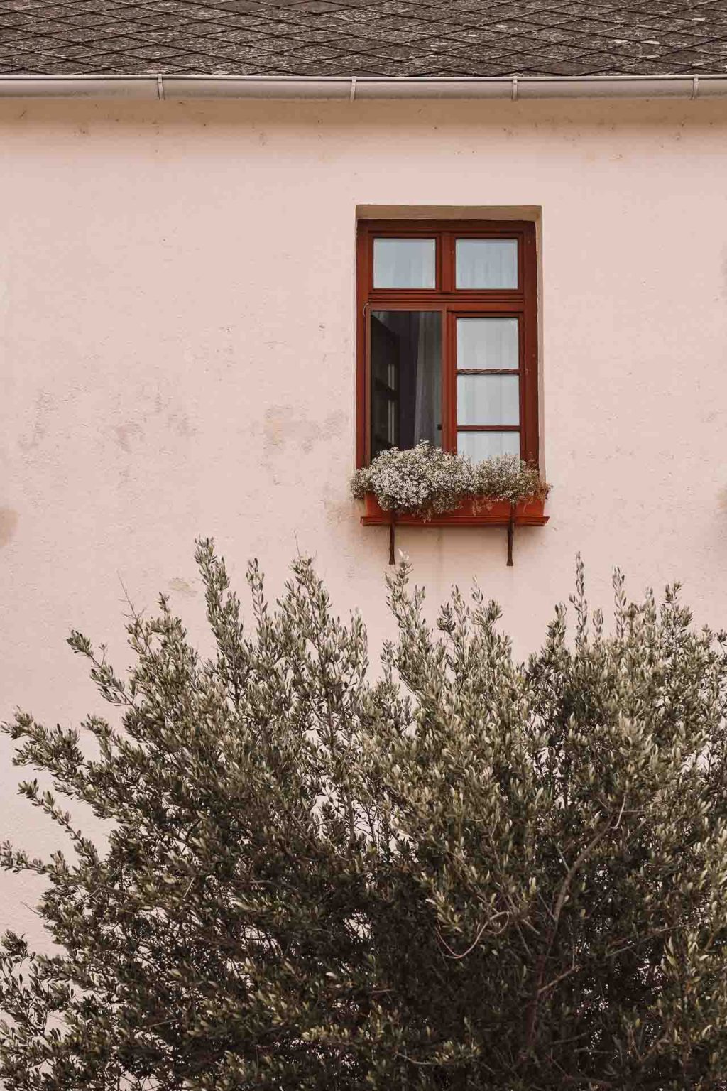 Genussurlaub: Die besten Neusiedler See Tipps für den Herbst